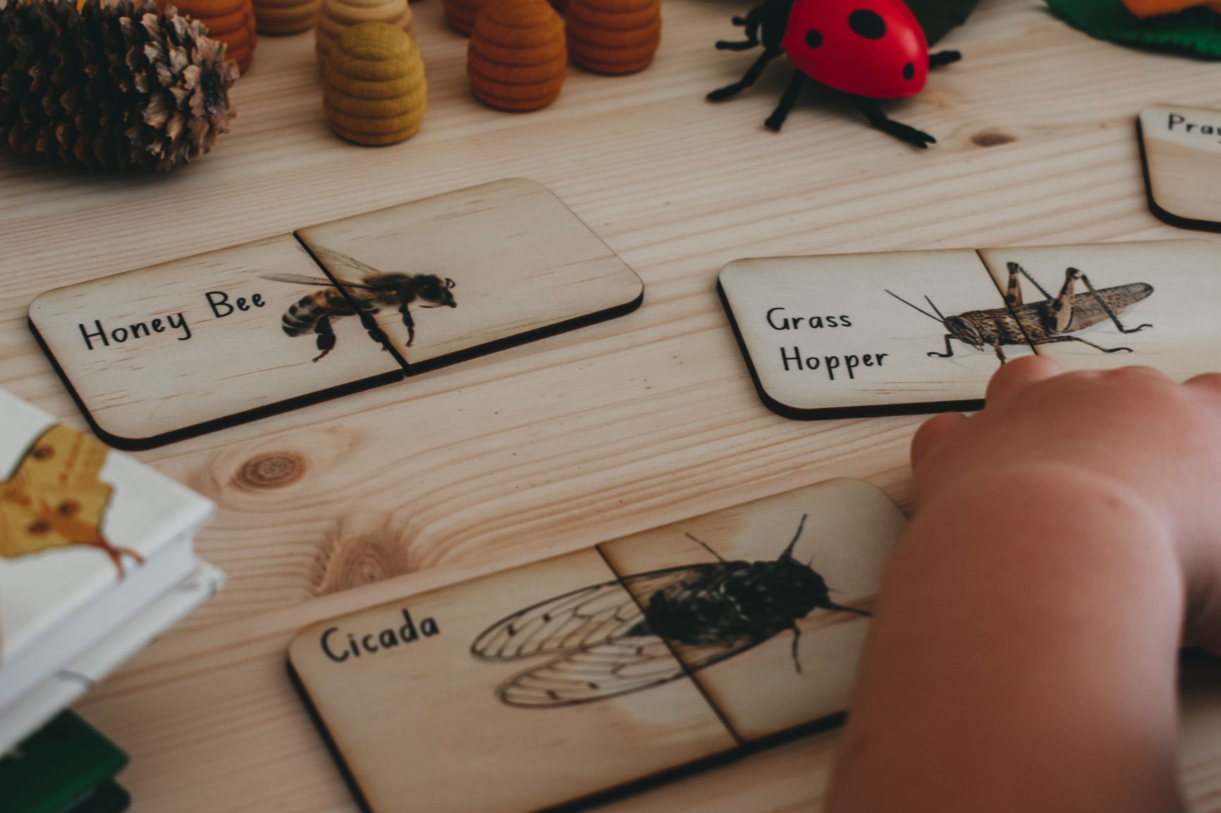 5 Little Bears 18pce Australian Themed Matching Puzzle Bugs | Tiny Sprout