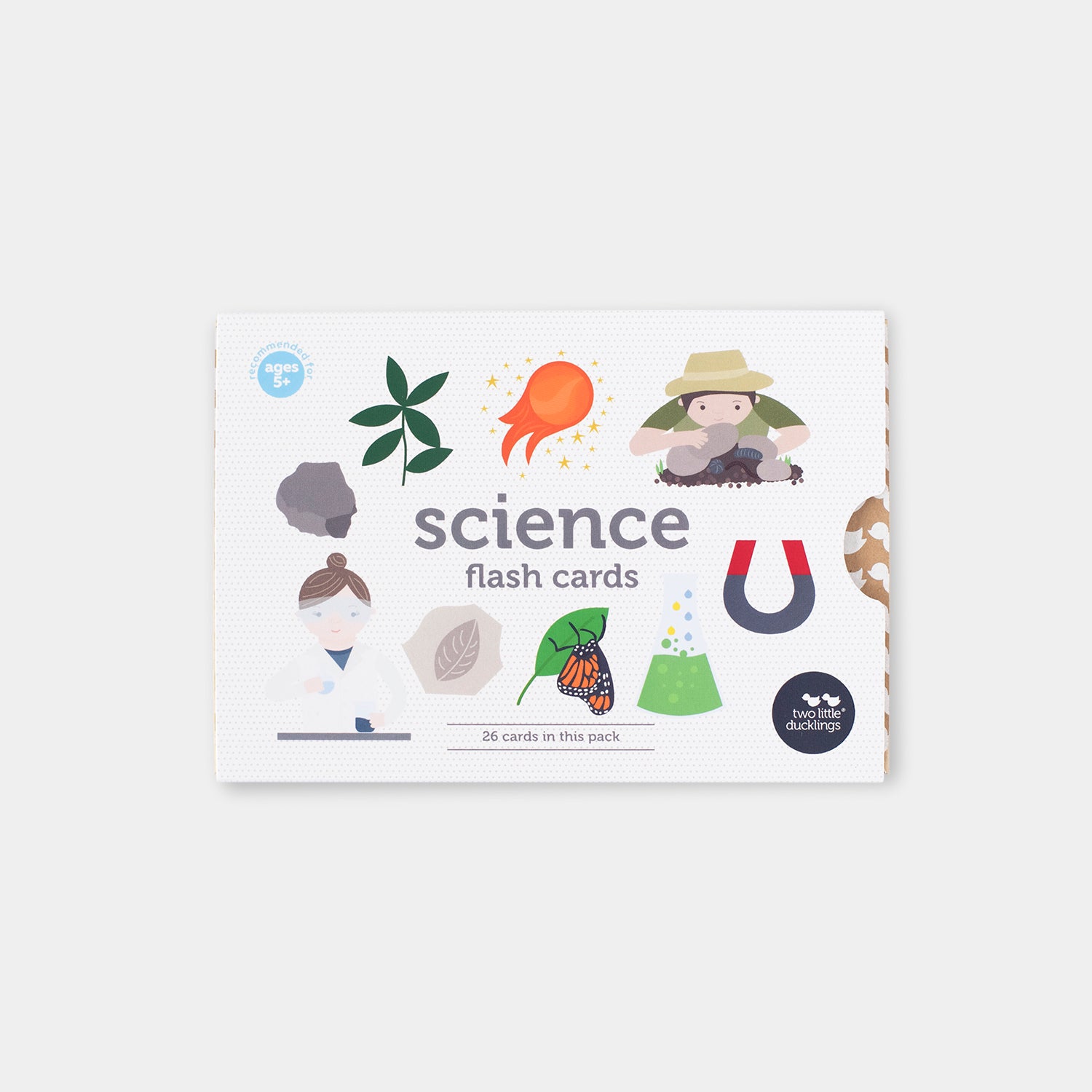 Two Little Ducklings Flash Cards Science | Tiny Sprout