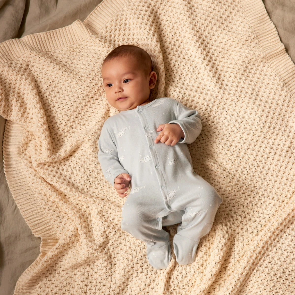 Nature Baby Stretch and Grow Spotted Whale Shark | Tiny Sprout